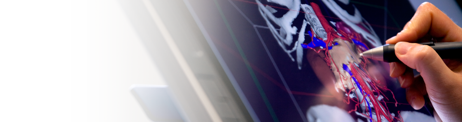 Innovation - Visible Patient